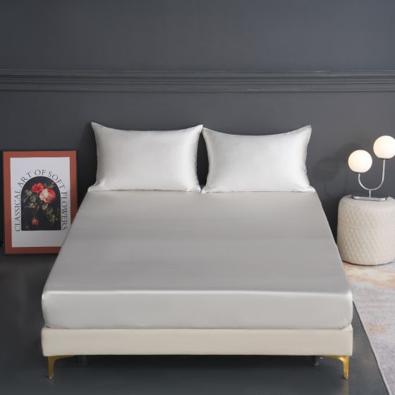 Buy 6A Grade 100% Mulberry Silk Fitted Sheet Combo Queen Silver SD